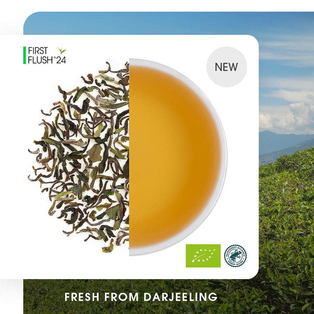 Buy 2024 Darjeeling First Flush Darjeeling Okayti Spring Chinary Black Tea Online | Teabox
