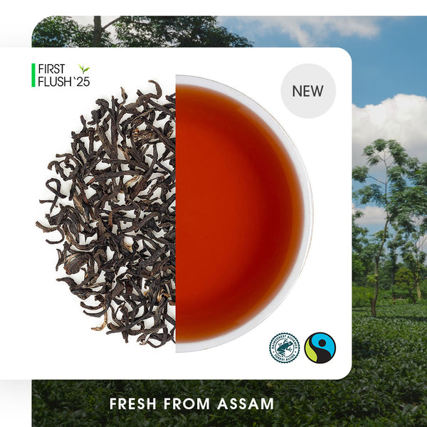 Buy Organic Assam Tea Online | 2023 Harvest | Teabox