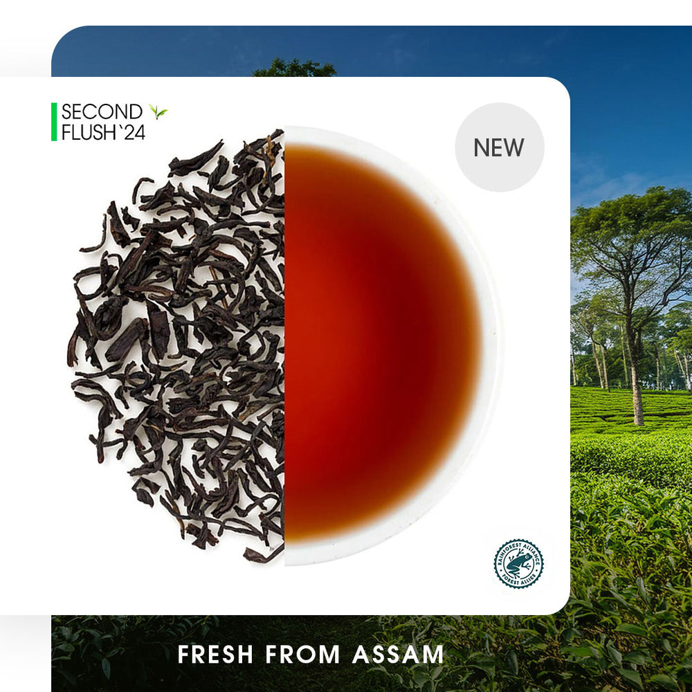 Buy Organic Assam Tea Online | 2023 Harvest | Teabox