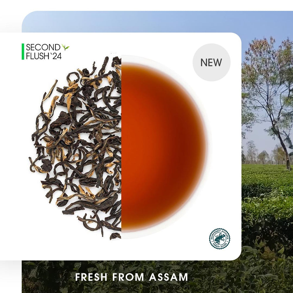 Buy Organic Assam Tea Online | 2023 Harvest | Teabox
