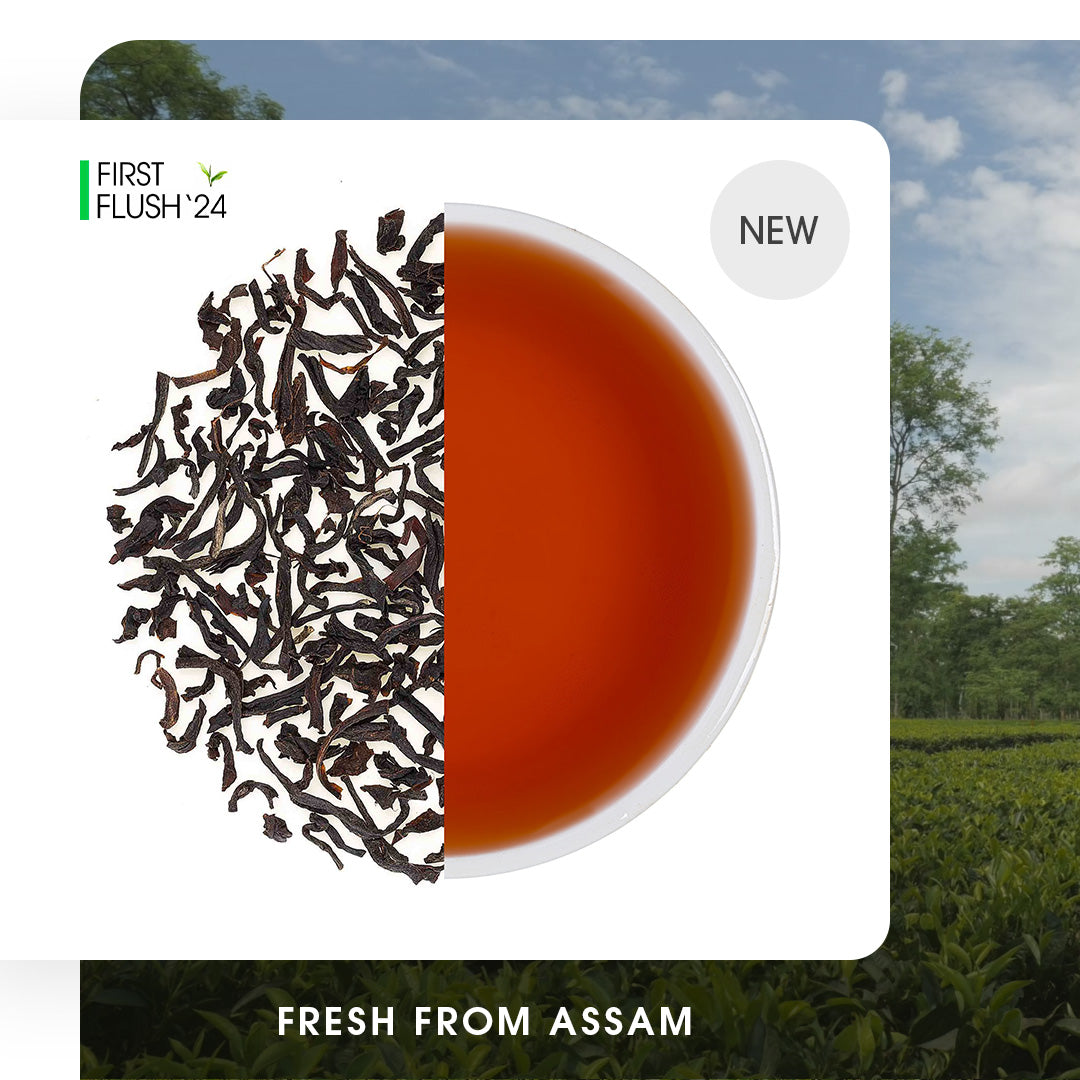 Buy Organic Assam Tea Online | 2023 Harvest | Teabox
