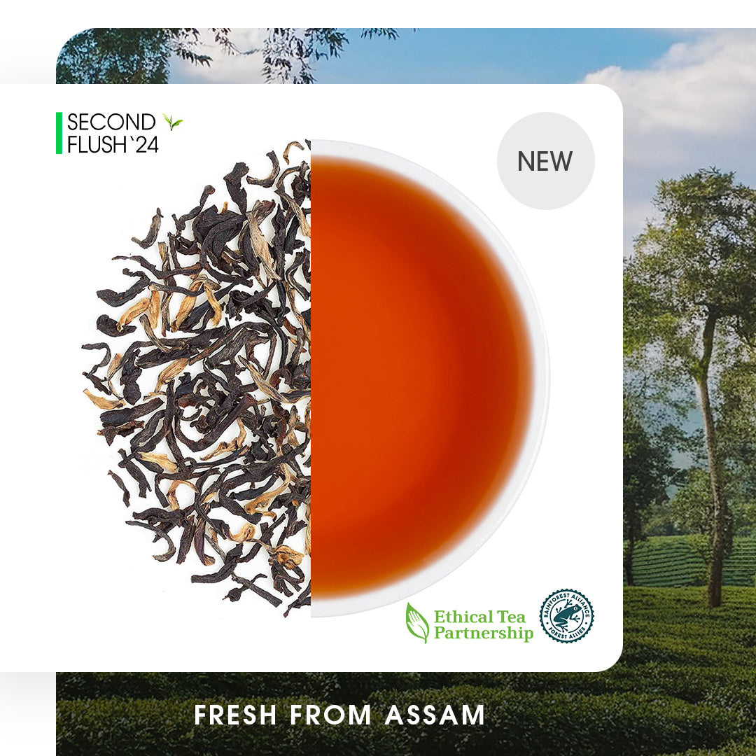 Buy 2024 Assam Mokalbari Summer Black Tea Online | Teabox