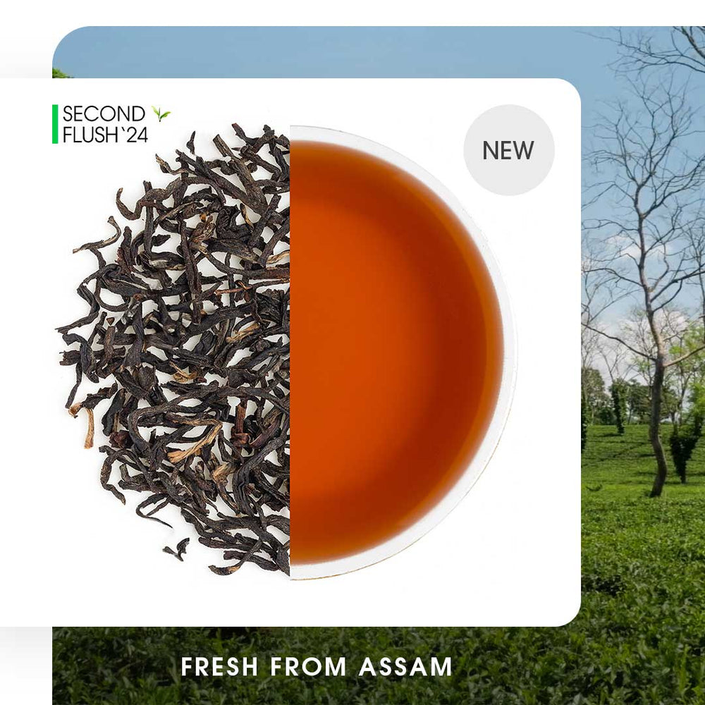 Buy Organic Assam Tea Online | 2023 Harvest | Teabox