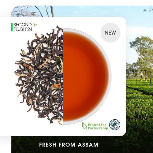 Buy Organic Assam Tea Online | 2023 Harvest | Teabox