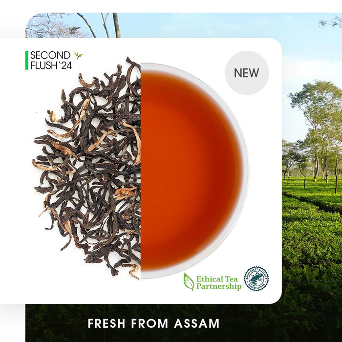 Buy Organic Assam Tea Online | 2023 Harvest | Teabox