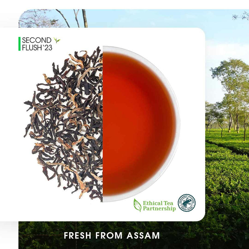 Buy Organic Assam Tea Online | 2023 Harvest | Teabox