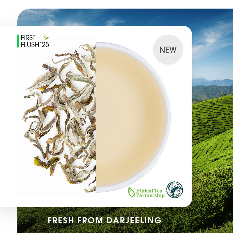 Buy 2025 Darjeeling Castleton Moonlight Spring White Tea Online | Teabox