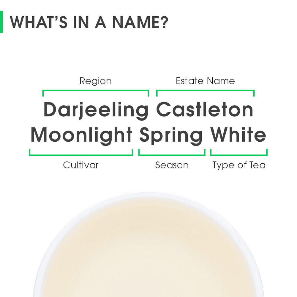 Buy 2025 Darjeeling Castleton Moonlight Spring White Tea Online | Teabox