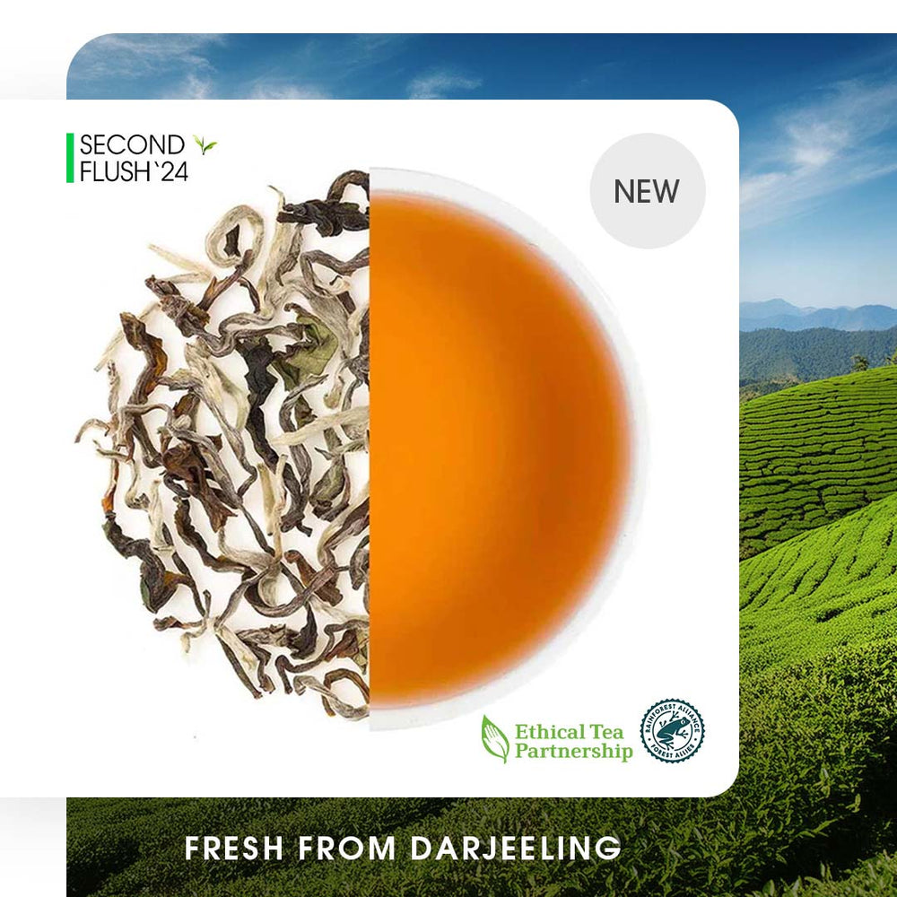 Buy White Tea Bags & Loose Leaf Tea | 2024 Harvest | Teabox