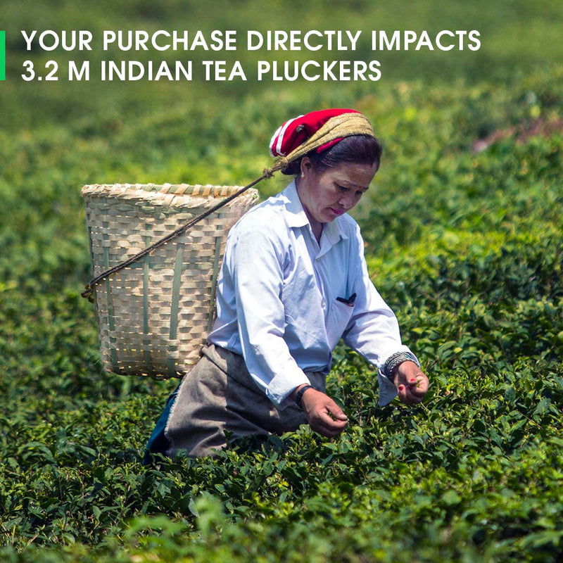 Buy Tea Gift Box Sets Online | Teabox