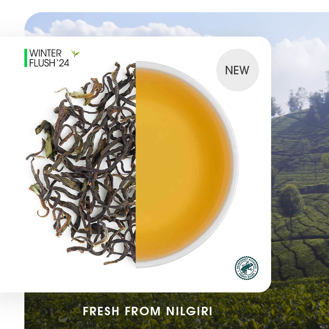 Buy 2024 Nilgiri Billimalai Winter Frost Black Tea Online | Teabox