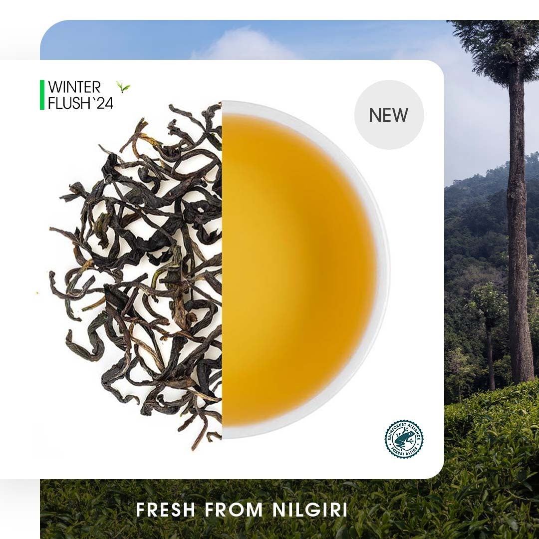 Buy Nilgiri Tea Online | 2024 Harvest | Teabox