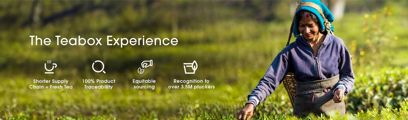 Teabox: Buy Delicious Indian Teas Online - Delivered Fresh
