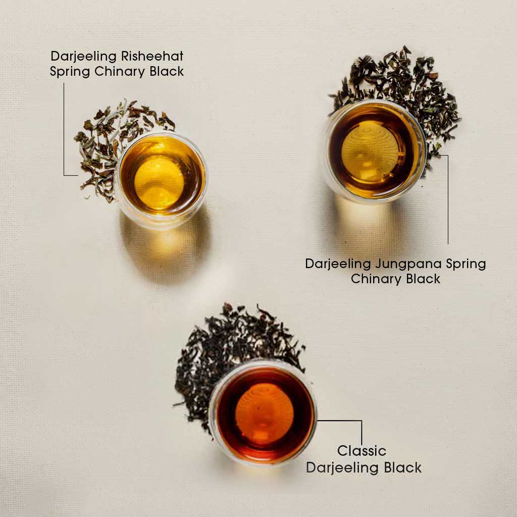 Buy Tea Samples Online | 2024 Harvest | Teabox