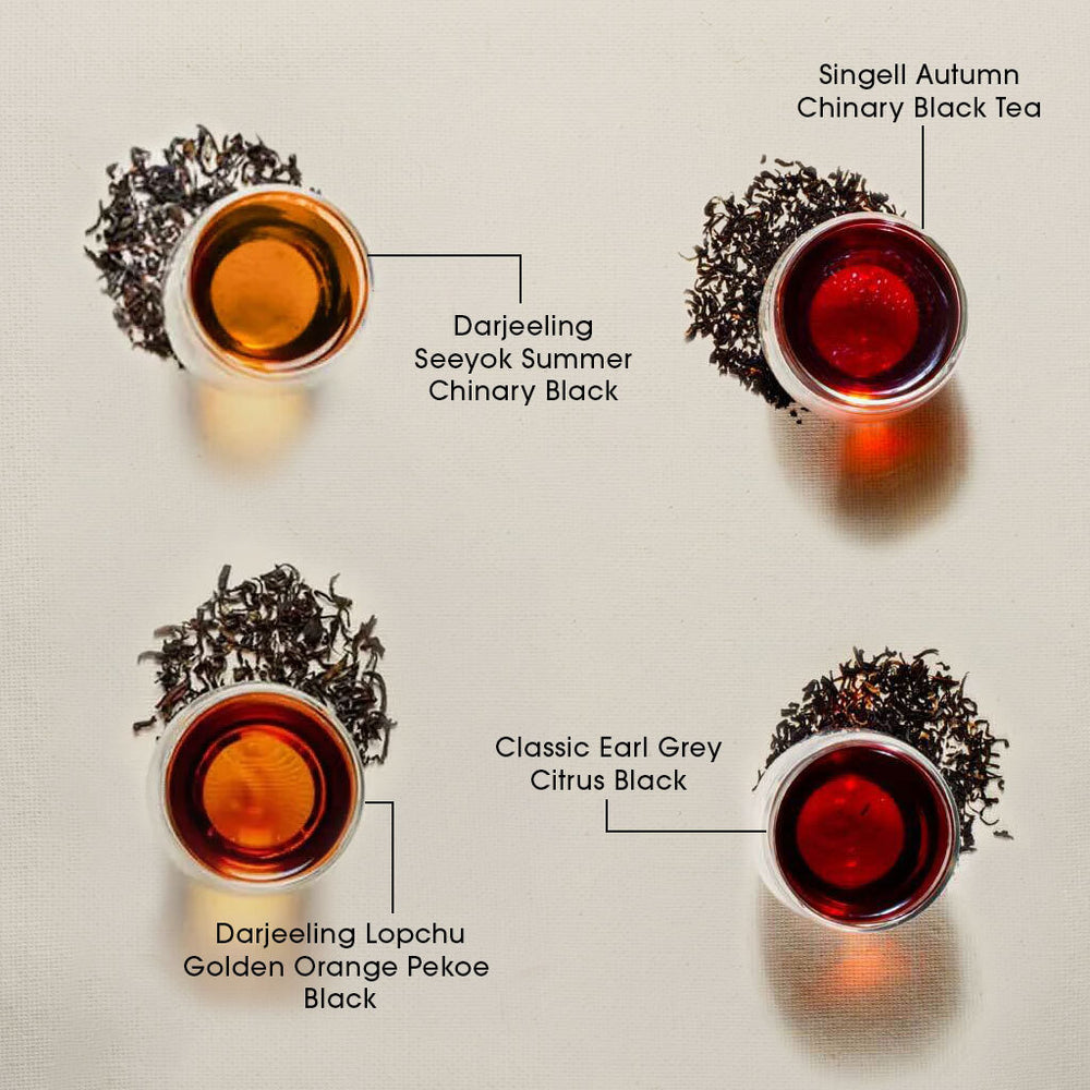Buy Tea Samples Online | 2024 Harvest | Teabox